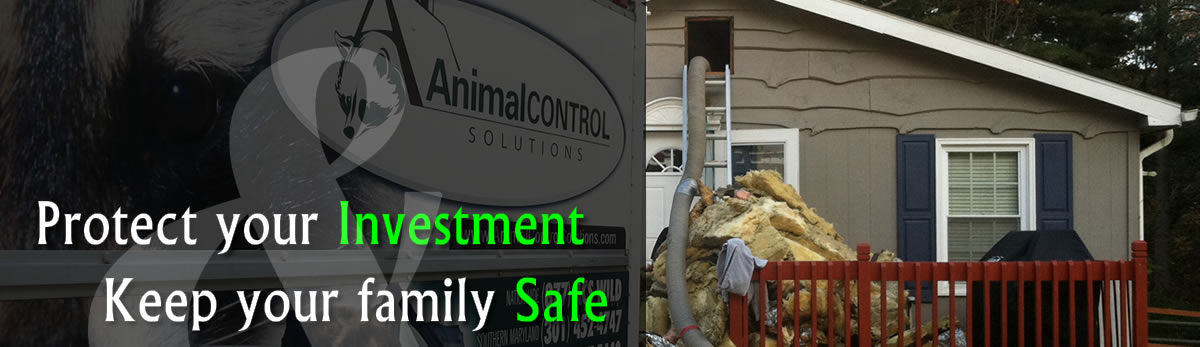 Animal Control Solutions | Nuisance Wildlife Control, Pest Animal Removal