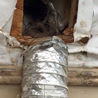 Bird Damage Photos | Animal Control Solutions